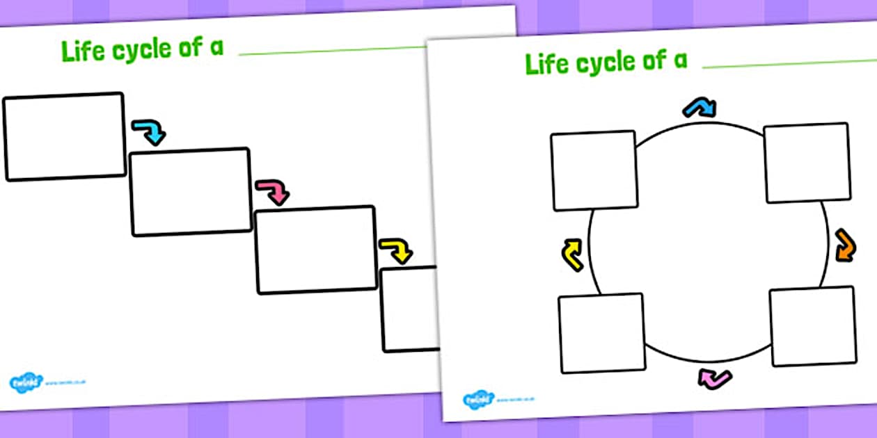 Editable Lifecycle Worksheets (teacher made) - Twinkl