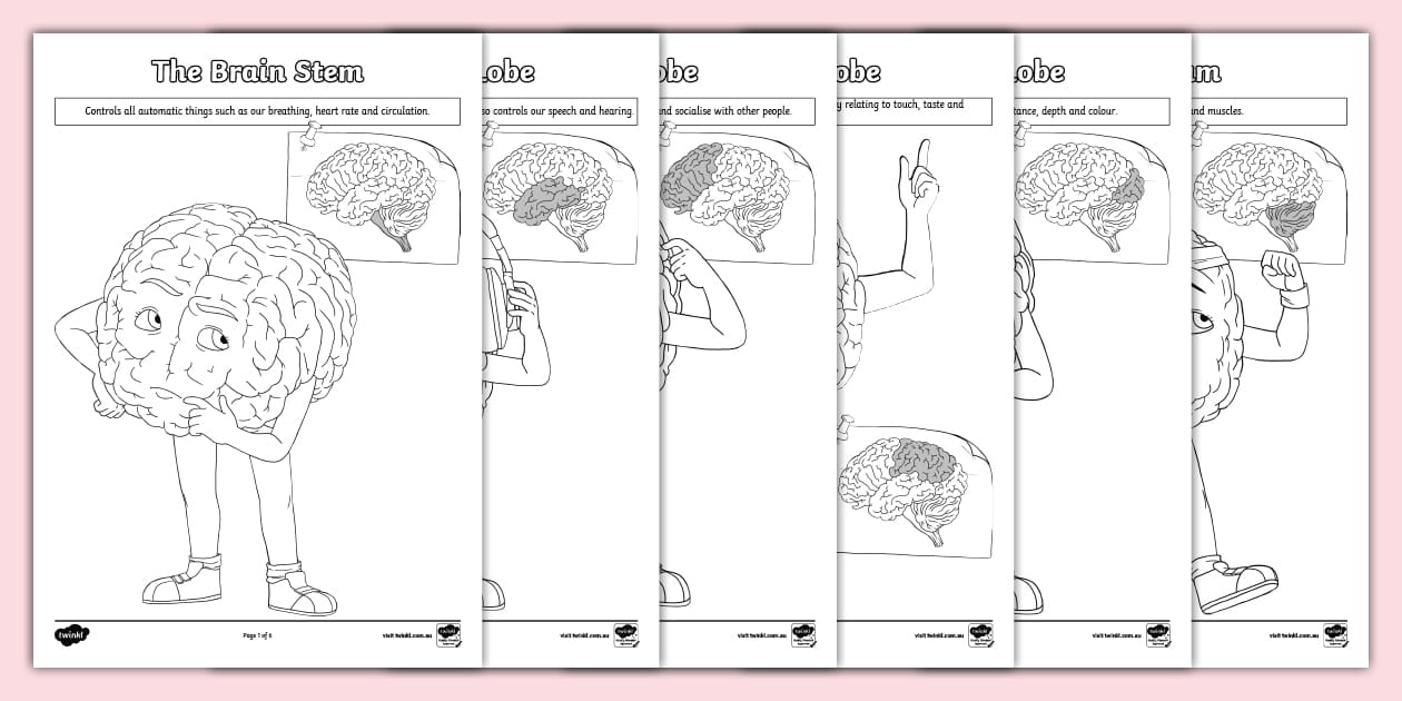 Brainy Teasers Activity Sheets (teacher made) - Twinkl