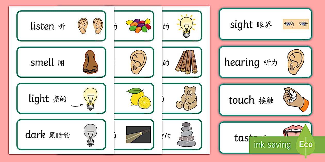 Senses Topic Word Cards English/ Mandarin Chinese - Twinkl