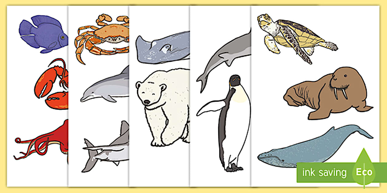 Under The Sea Puppets EYFS - Early Years Sea Resources