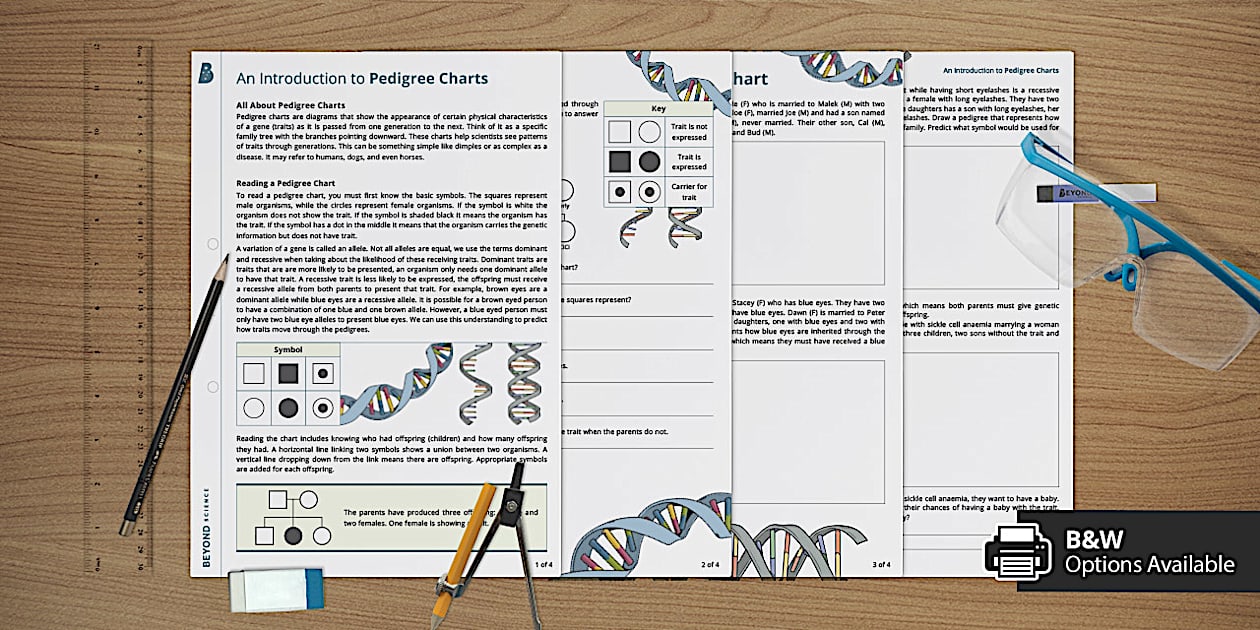 An Introduction to Pedigree Charts Worksheet (teacher made)