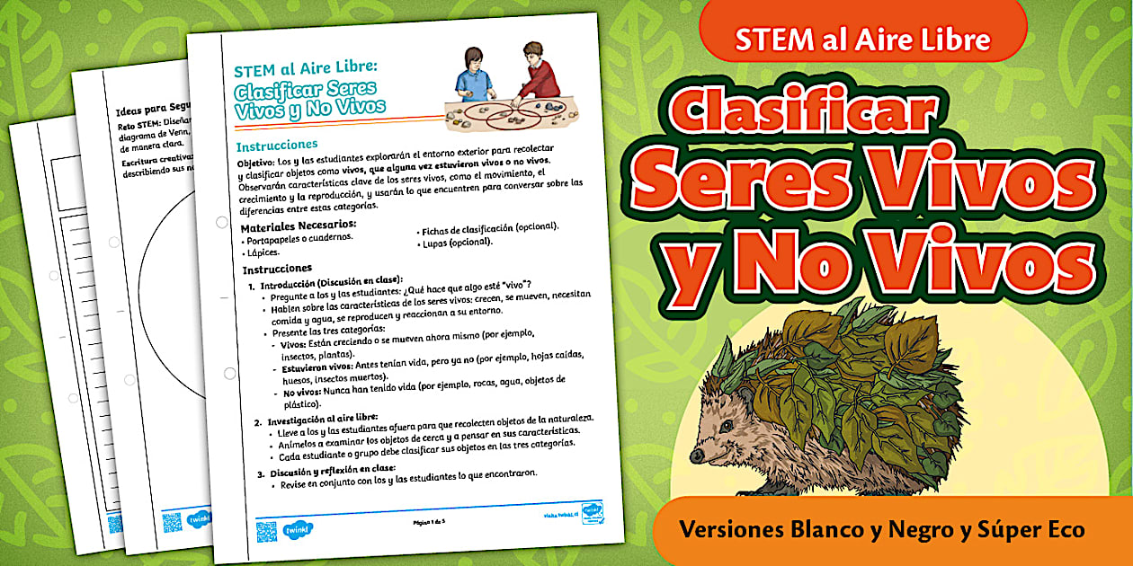 STEM | Aire | Libre | ¿Vivo o Inerte?