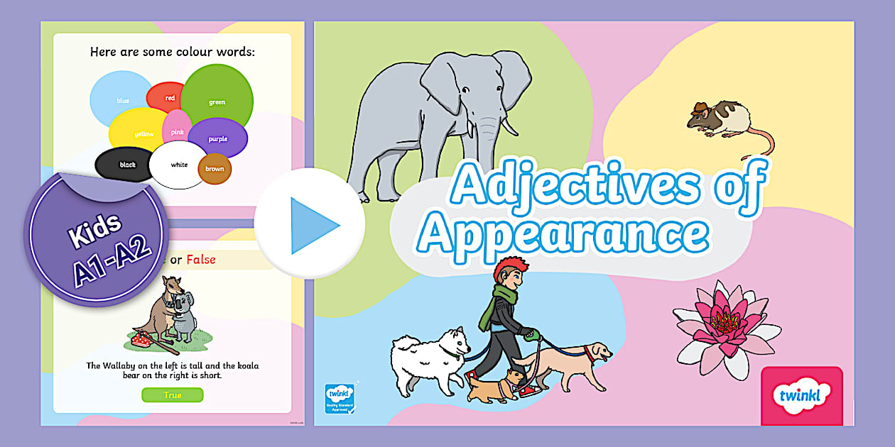 ESL Adjectives of Appearance PowerPoint [Kids, A1-A2]