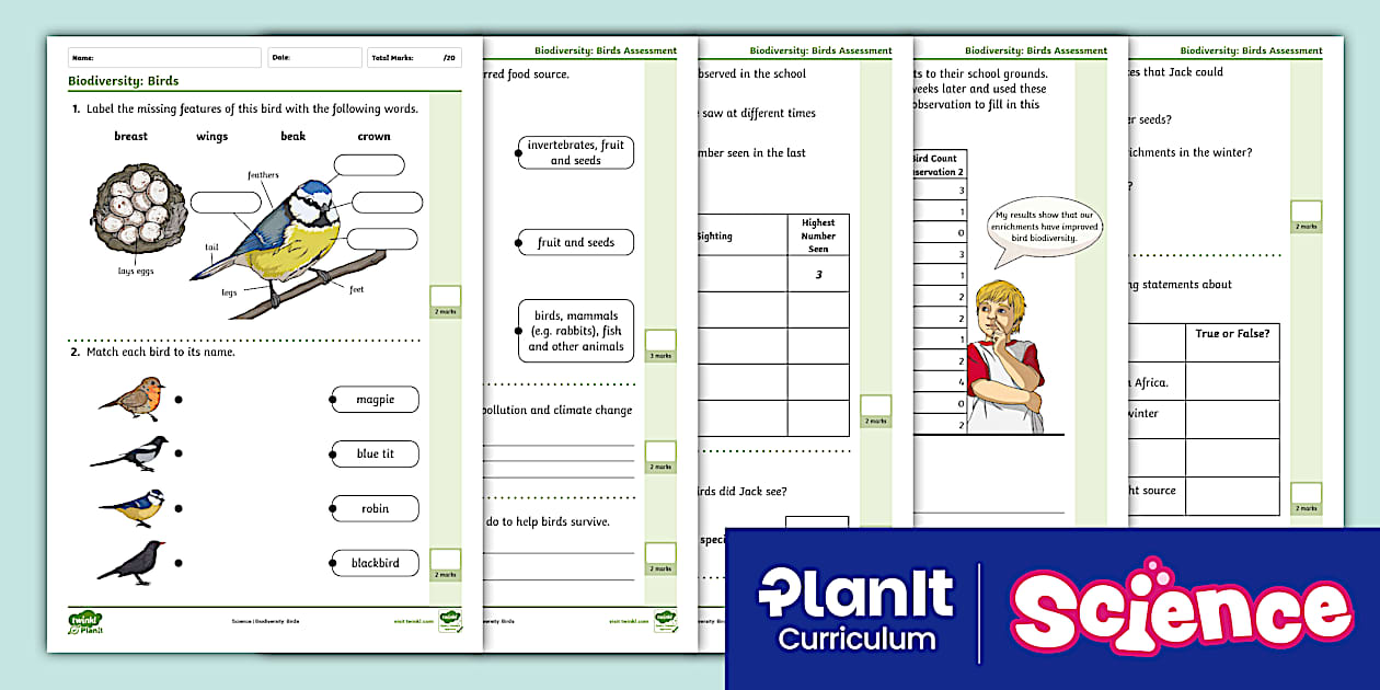 Biodiversity: Birds Y3 Assessment Test