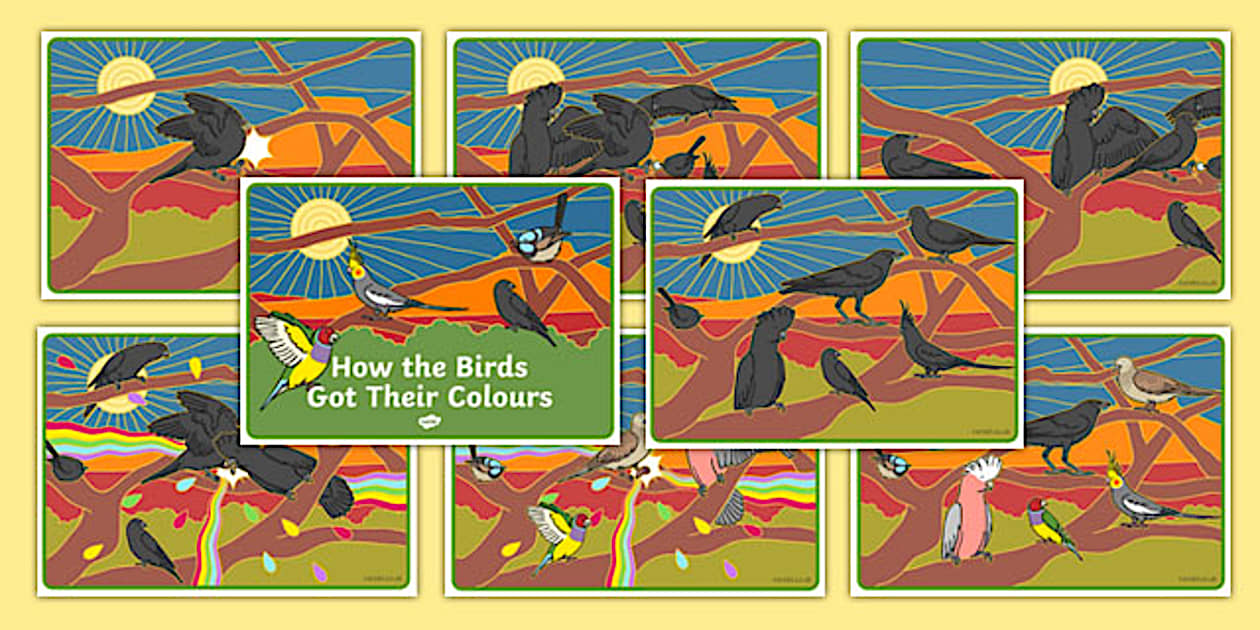 Black and White How the Birds Got Their Colours Story Sequencing Cards