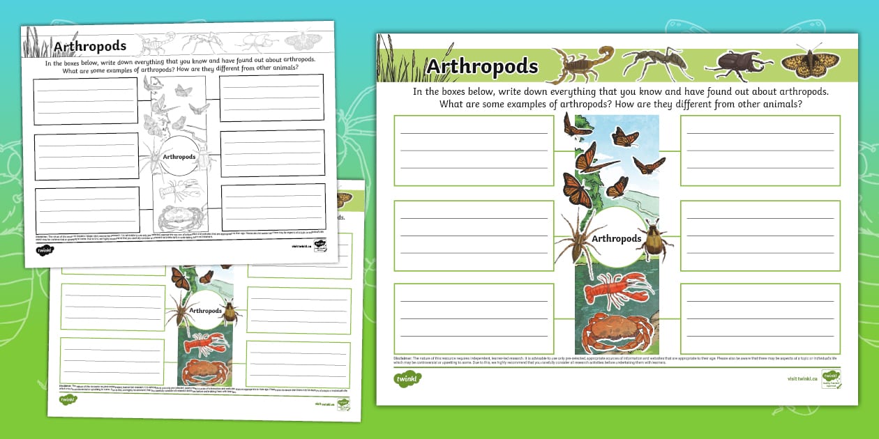 Arthropods Mind Map - Twinkl Writing Frames (teacher made)