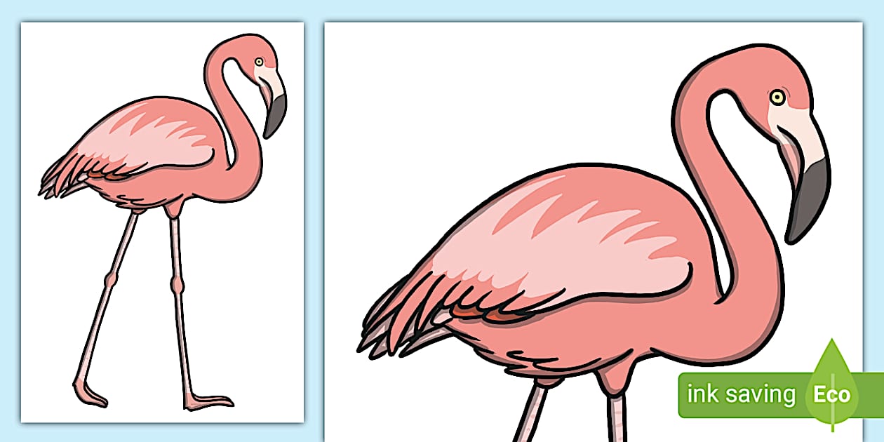 Flamingo Display Cut-Out (teacher made) - Twinkl