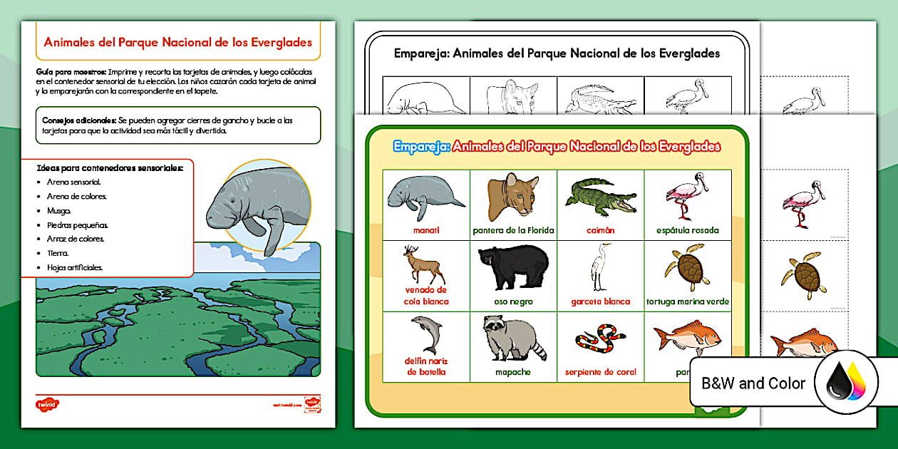 Actividad: Animales del Parque Nacional de los Everglades