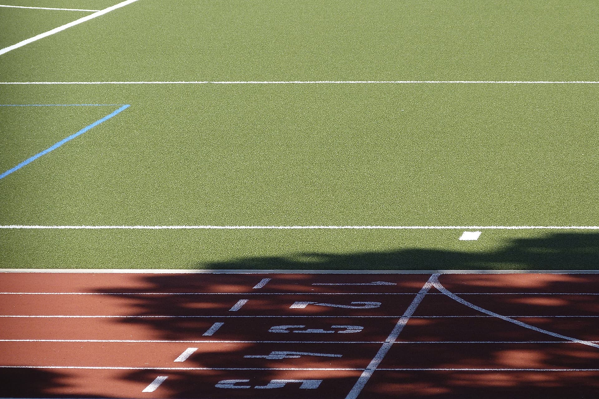 Sports Day Classroom Starters & Teaching Ideas - Twinkl