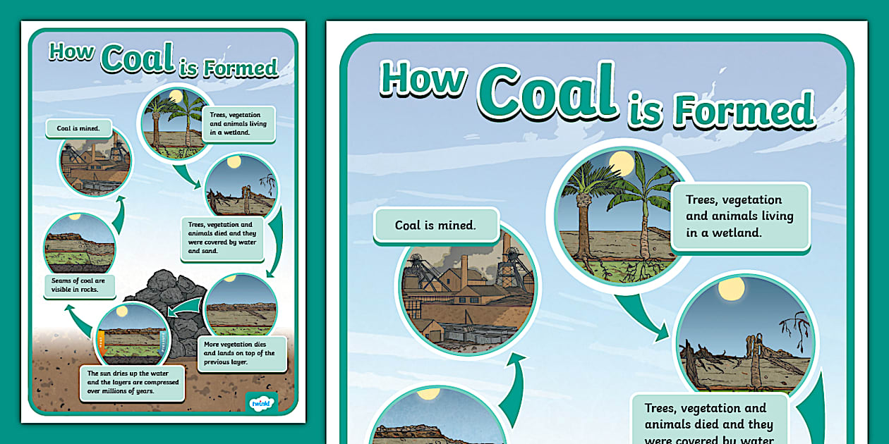How Coal is Formed – Poster (teacher made) - Twinkl