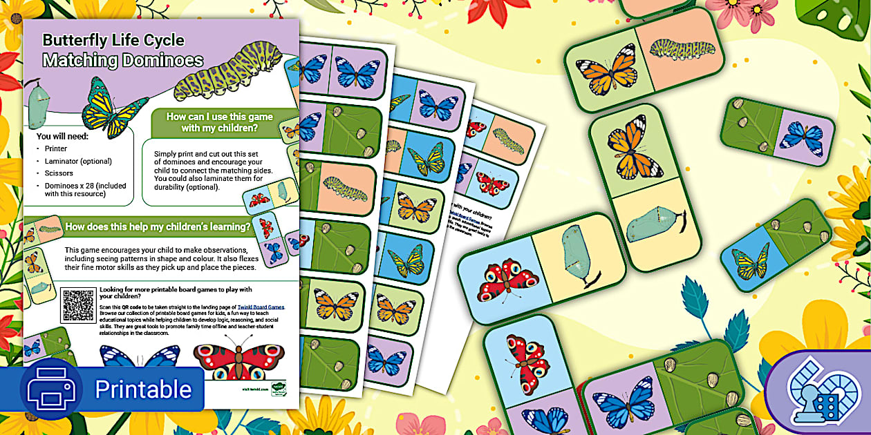Butterfly Life Cycle Matching Dominoes Game for EYFS