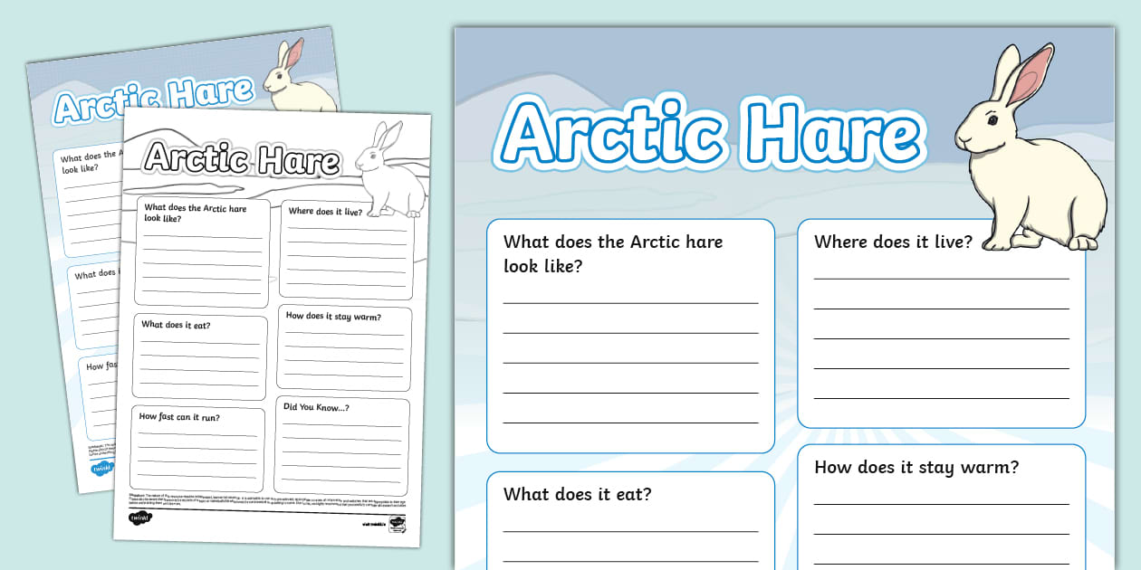 Arctic Hare Fact File Template - Twinkl