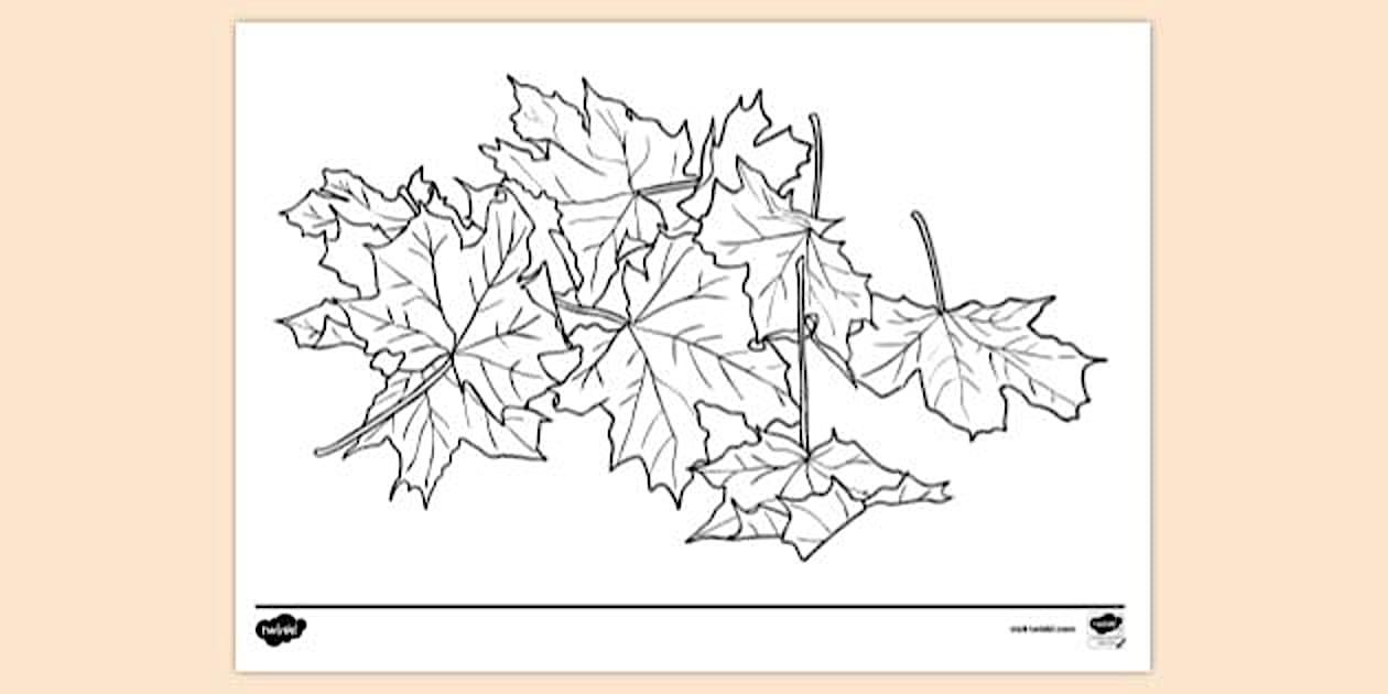 Autumn Leaves Colouring Sheet (Teacher-Made) - Twinkl