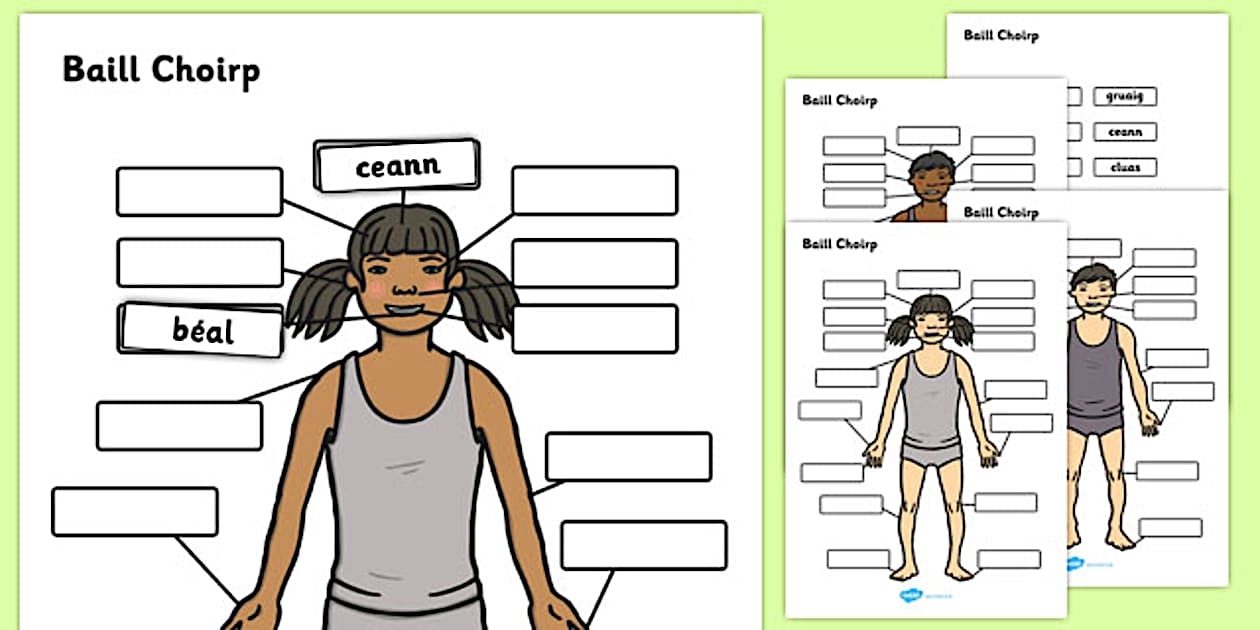 Body Parts Labelling Activity Gaeilge (teacher made)