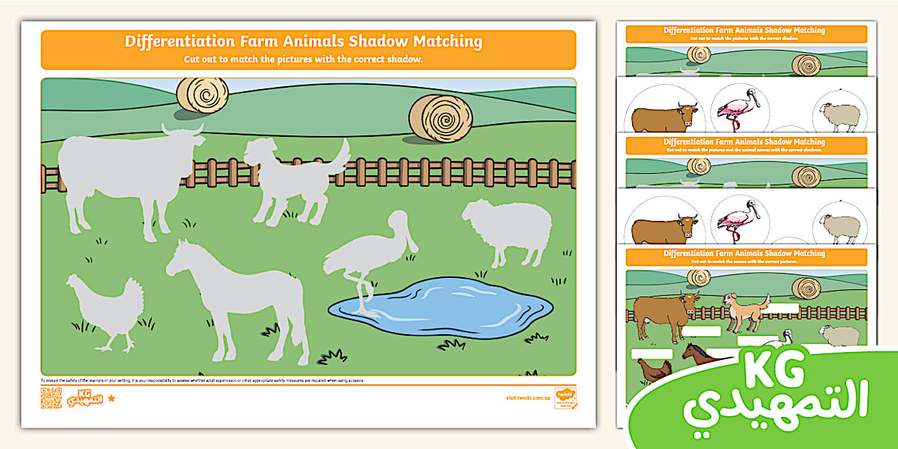 Differentiation Farm Animals Shadow Matching - Twinkl