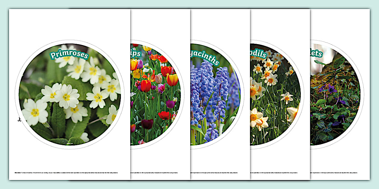 Spring Flowers Circle Photo Cut-Outs (teacher made) - Twinkl