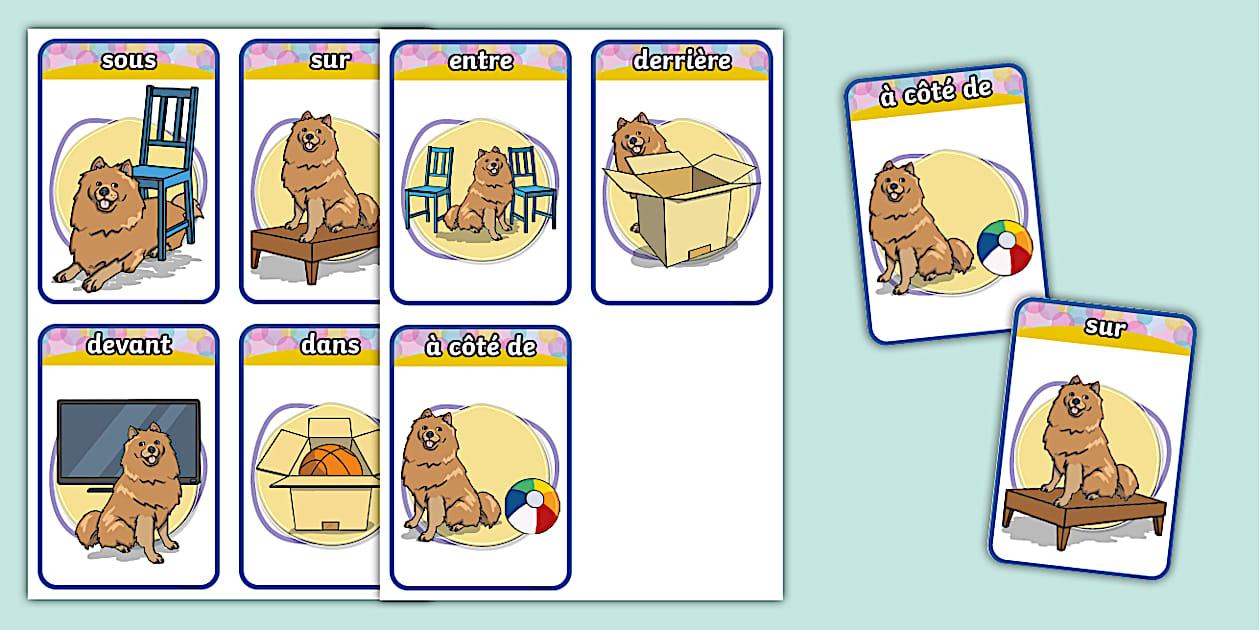 Cartes flash : Les prépositions (teacher made) - Twinkl