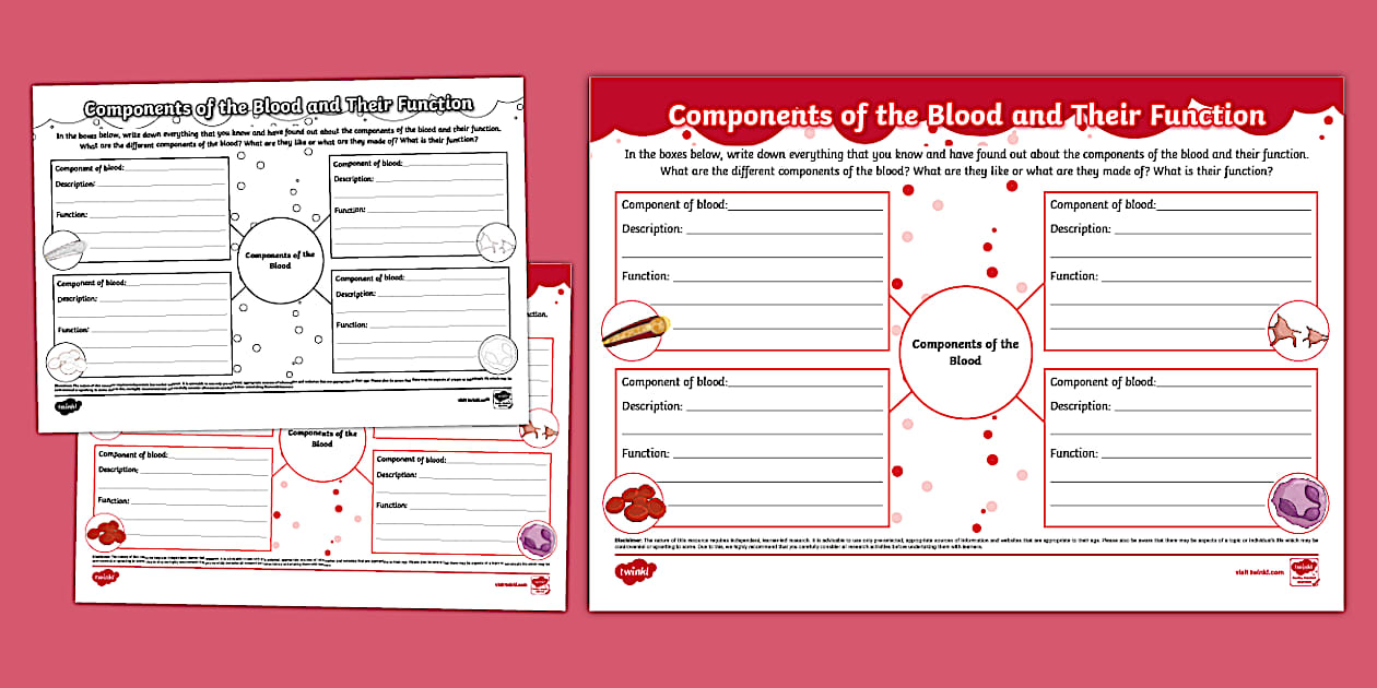 Components of the Blood and Their Function Mind Map - Twinkl