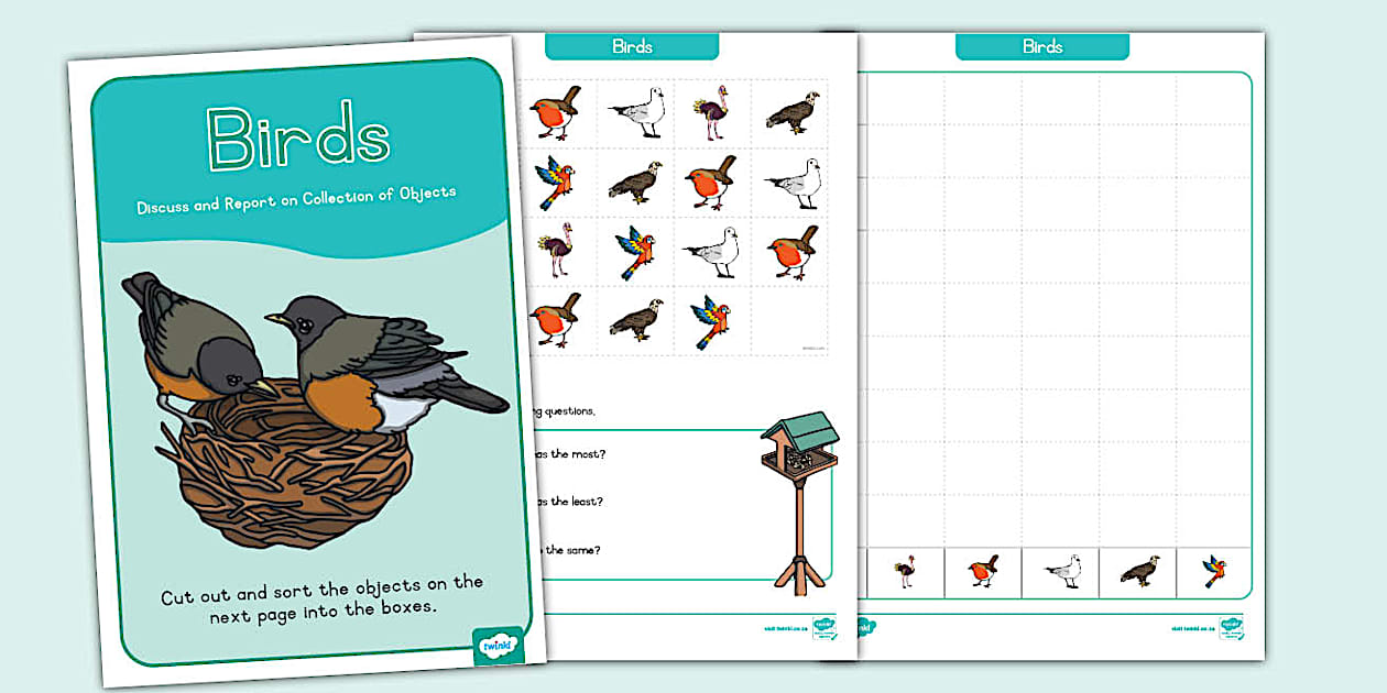 Grade R Data Handling Discuss and Report - Birds - Twinkl