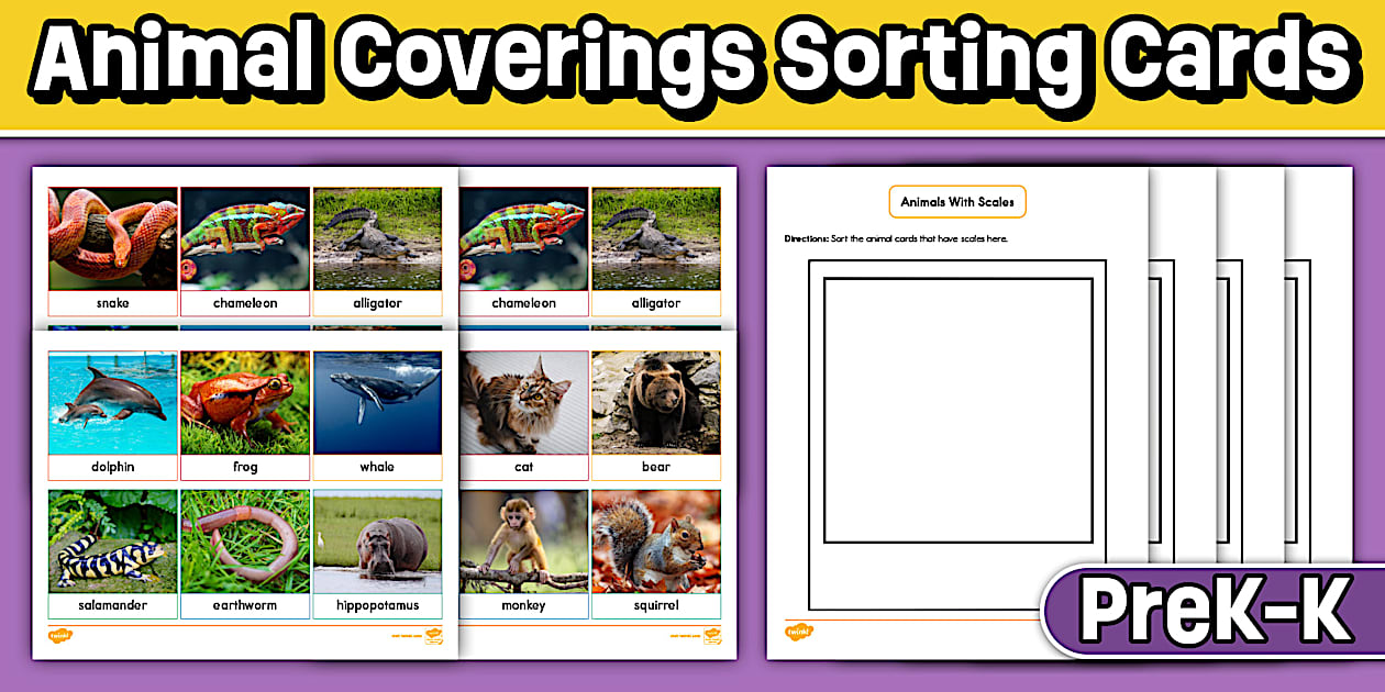 Animal Coverings Picture Sort | Scales, Feathers, Skin, Fur