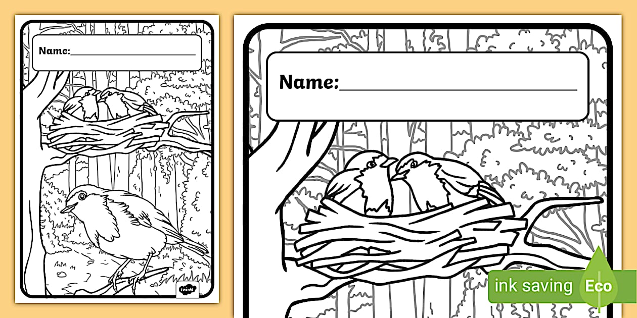 Robin Colouring Book Cover (teacher made) - Twinkl
