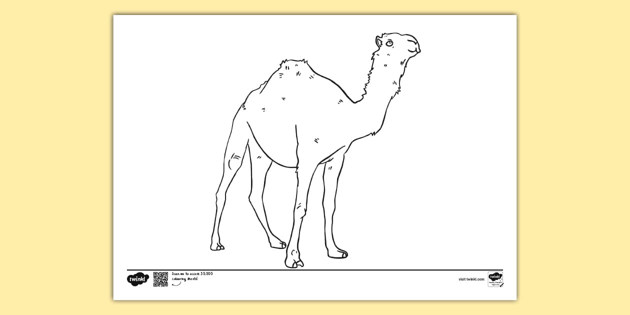 Camel Colouring | Colouring Sheets | Twinkl (teacher made)