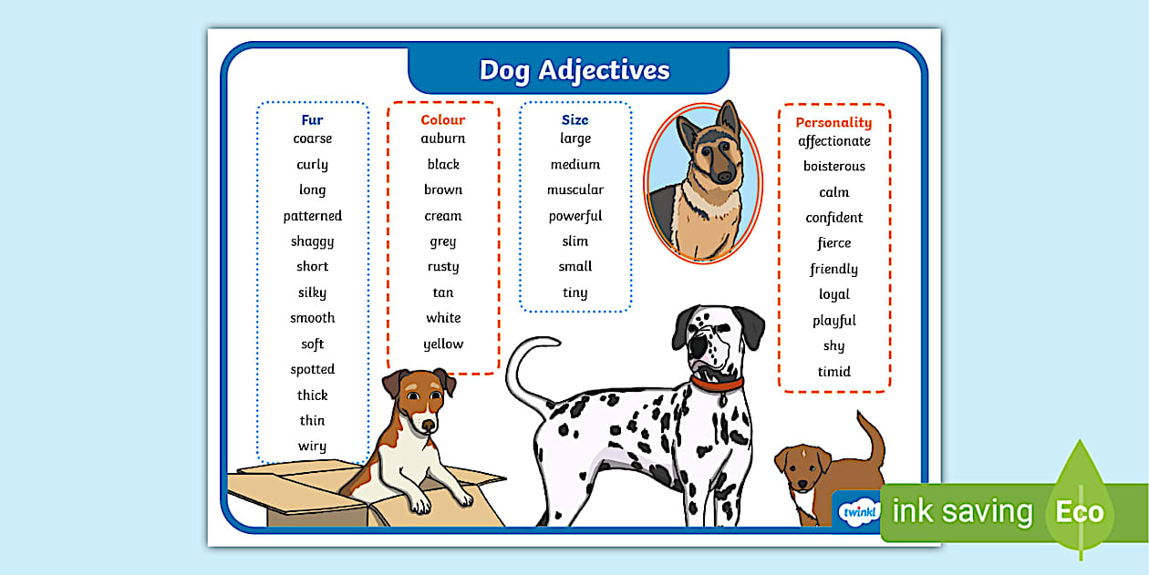 Dog Adjectives Word Mat - KS1 - Descriptive Writing - Twinkl