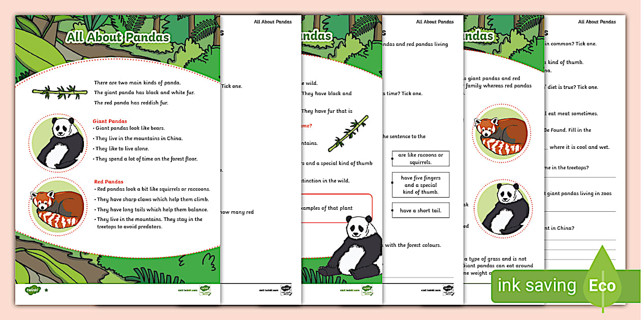 KS1 Non-Chronological Report on Pandas Reading Comprehension