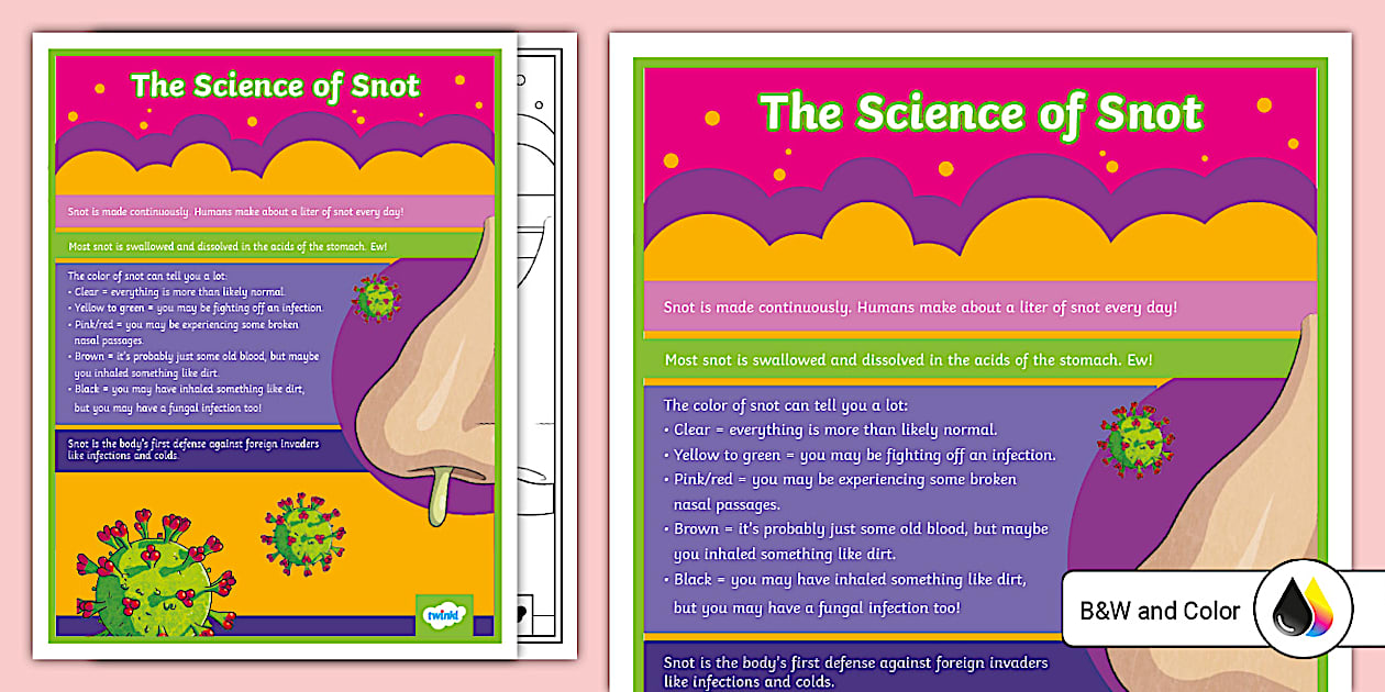 The Science of Snot Poster (Teacher-Made) - Twinkl