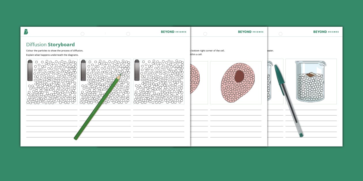 Diffusion Storyboard | KS3 Biology | Beyond Science - Twinkl