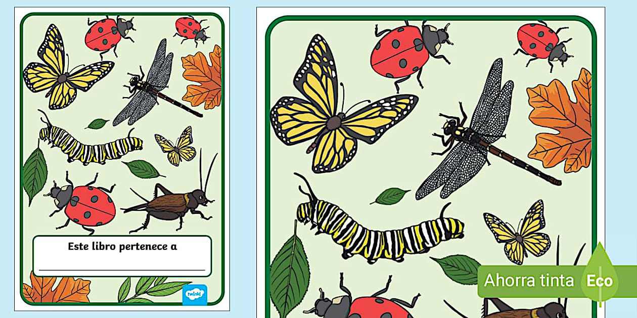 Portadas de mariposas para cuadernos (teacher made) - Twinkl