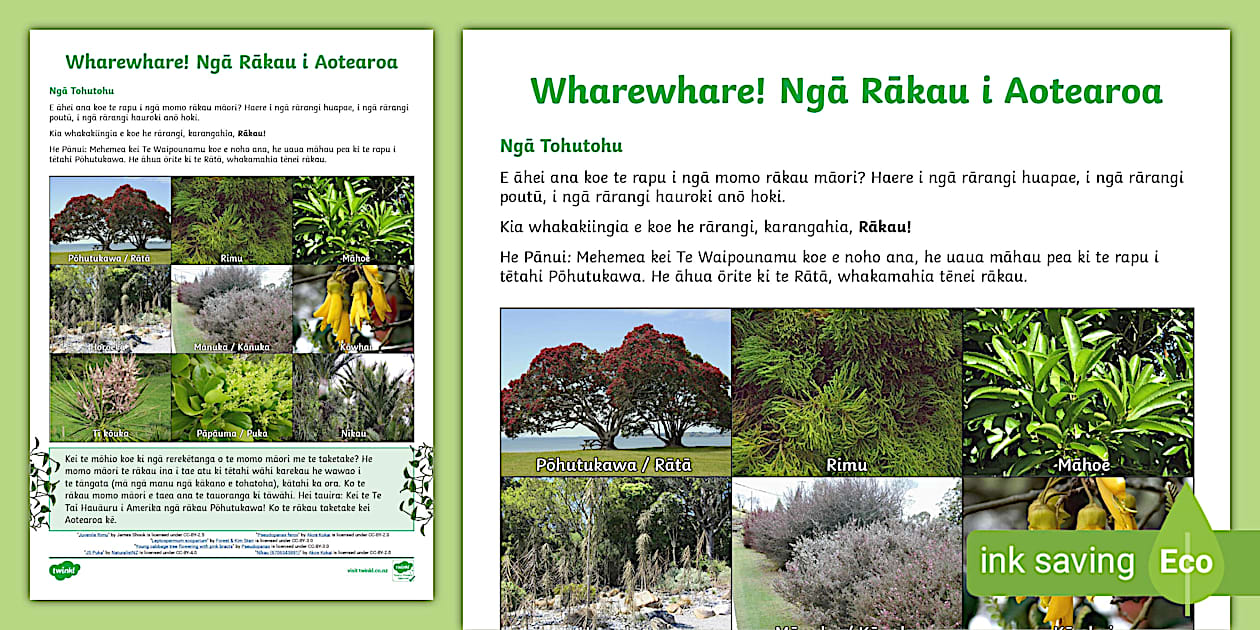 Wharewhare! Ngā Rākau i Aotearoa (teacher made) - Twinkl