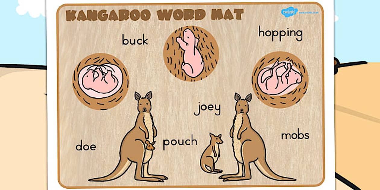 Kangaroo Life Cycle Word Mat - Primary Resource - Twinkl