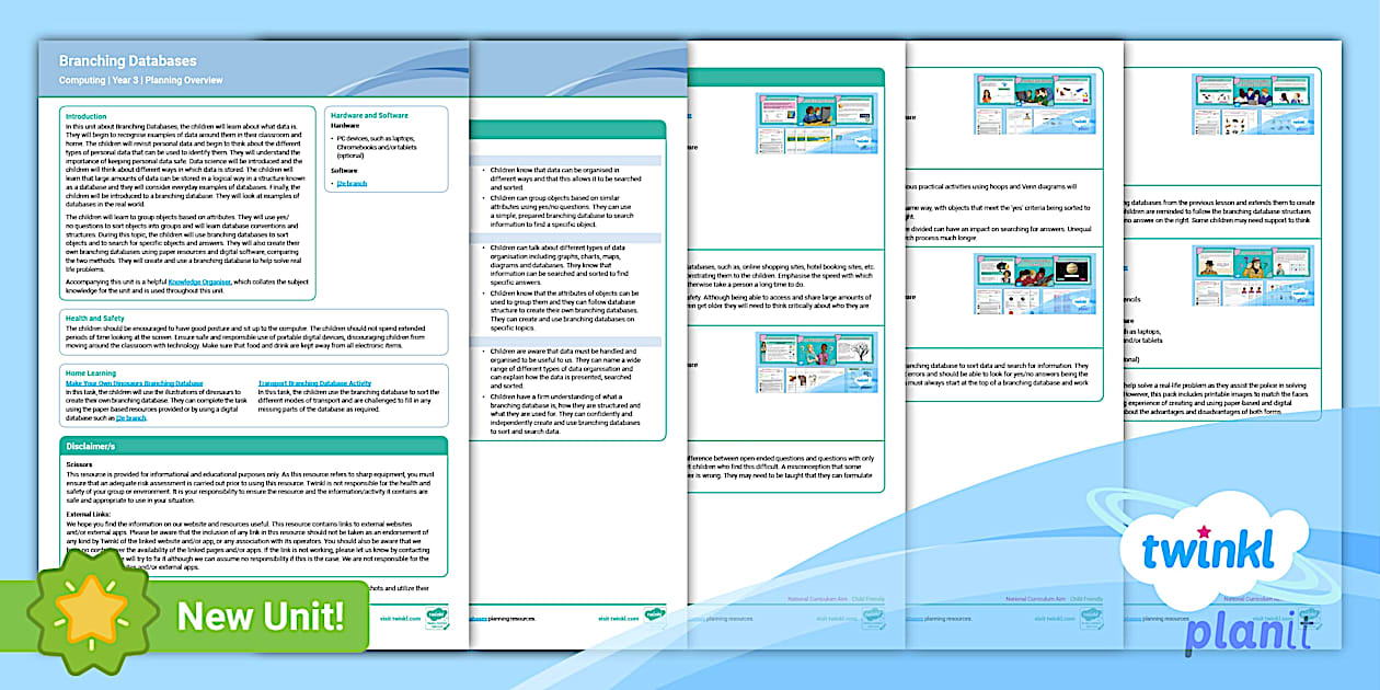 Computing: Branching Databases Planning Overview Year 3