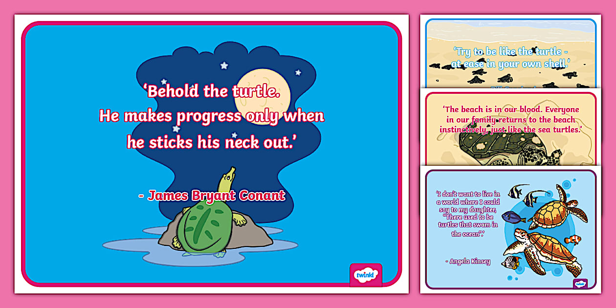 Turtle Quotes Display Poster Pack (Teacher-Made) - Twinkl