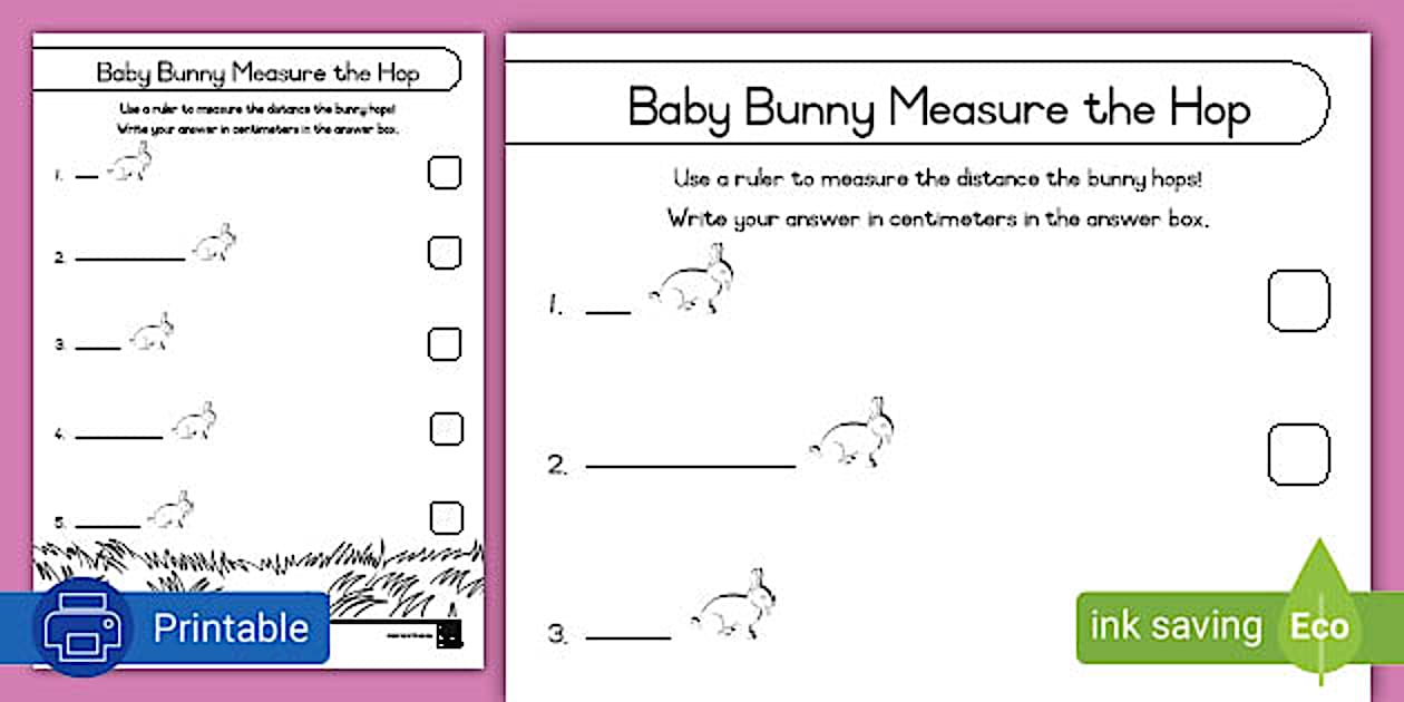 Baby Bunny Measuring Activity Sheet | South Africa - Twinkl