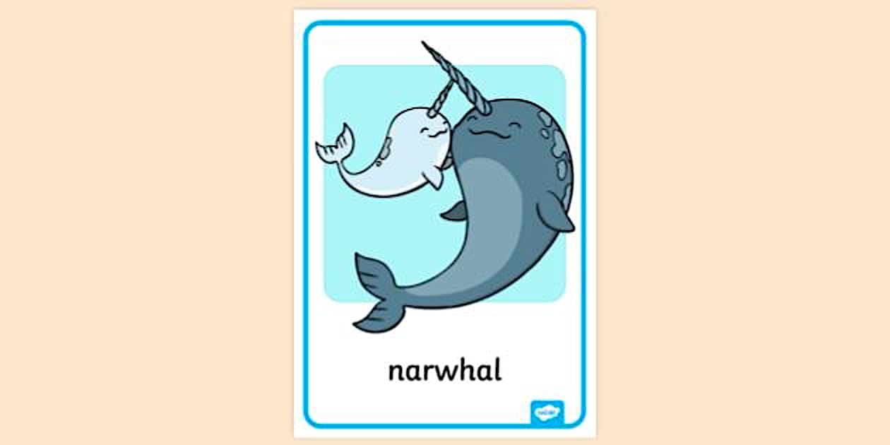 Cute Narwhal Display Poster | Primary Resources - Twinkl