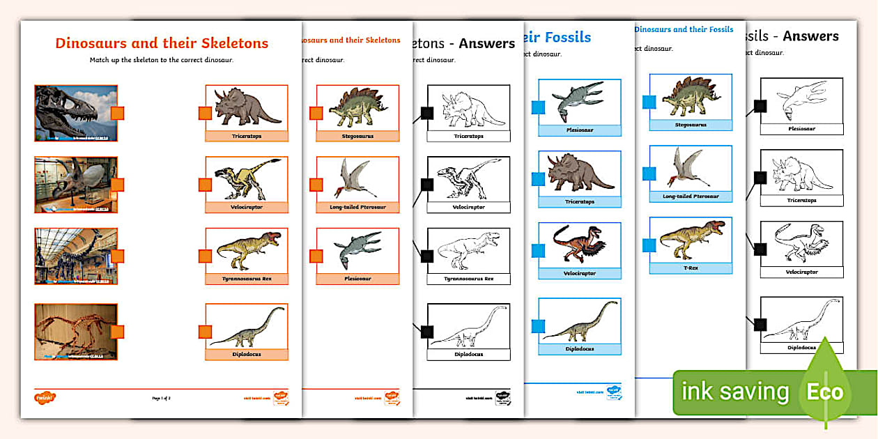 Dinosaurs and Their Fossils Sort Cards | Science | Parents