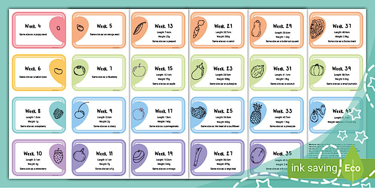 Milestone Cards - How Big is My Baby?