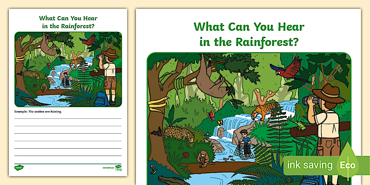 What Can You Hear in the Rainforest? Writing Activity