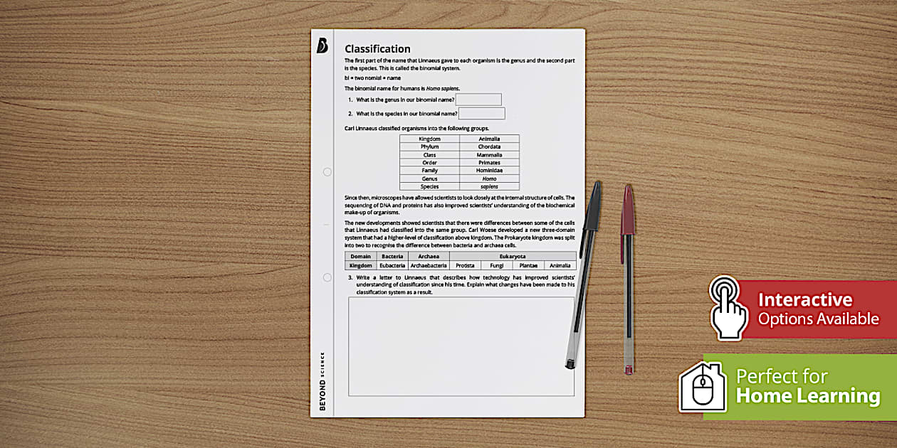 Classification Independent Learning Sheet (Teacher-Made)