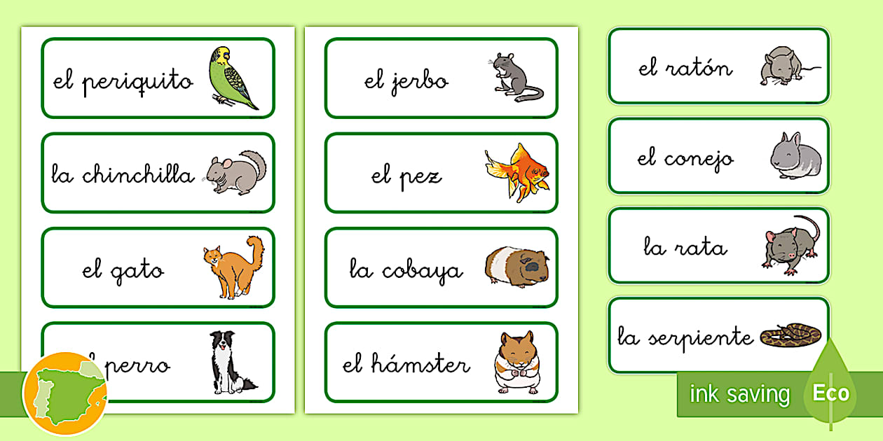 Tarjetas de vocabulario: Las mascotas (Teacher-Made)