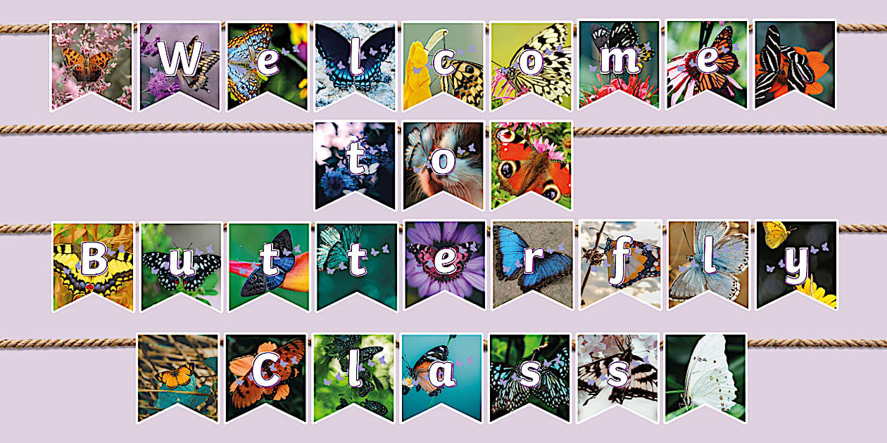 Welcome to Butterfly Class Photo Display Bunting - Twinkl