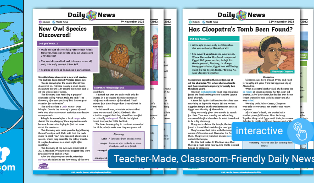 Weekly Comprehension Pack - 11th November 2022 - Twinkl NewsRoom