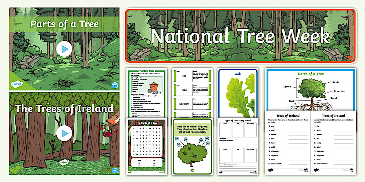 National Tree Week Resource Pack (Junior Infants - Second Class)