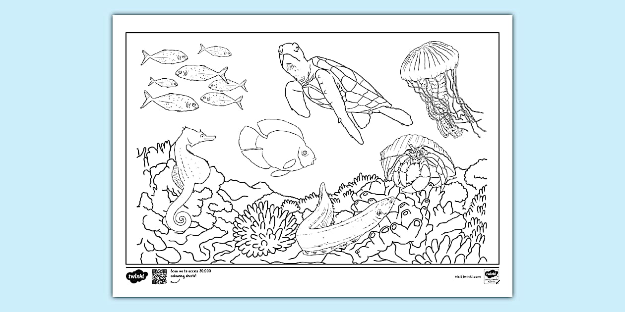 Sea colouring pages- easy to download and to print off.