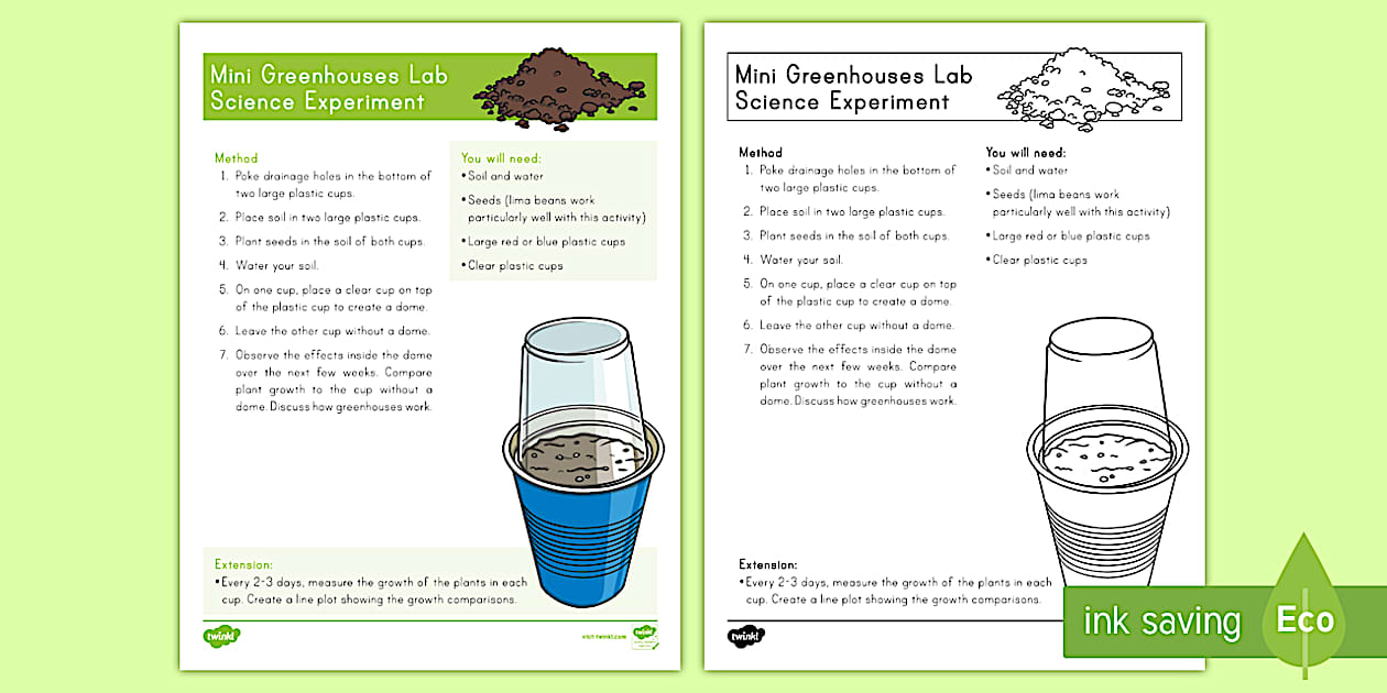 Mini Greenhouse Lab Science Experiment for K-2nd Grade