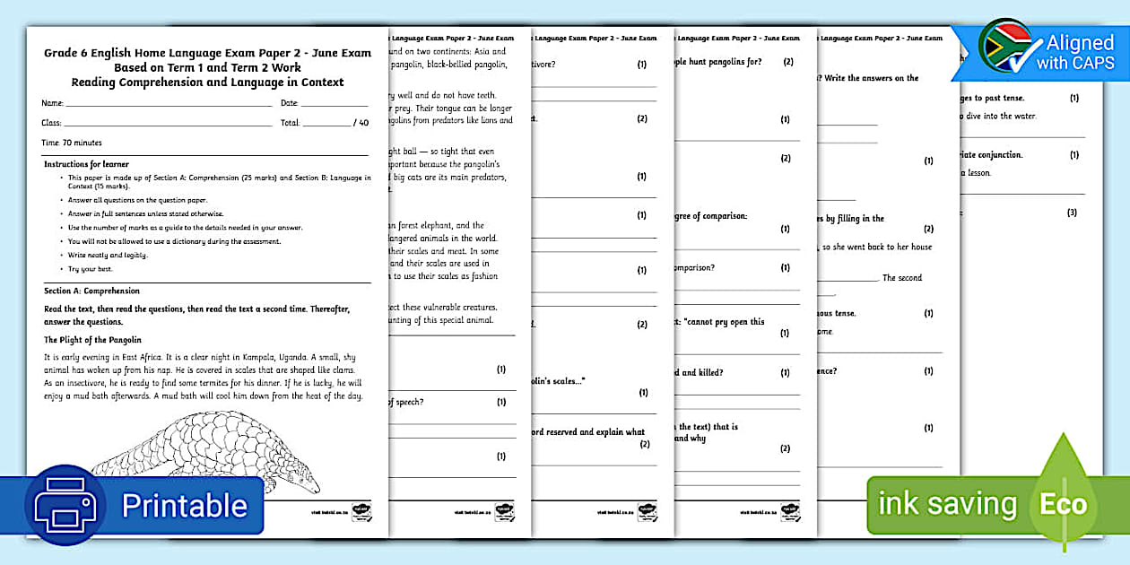 Grade 6 English Home Language Exam Papers And Memos - Twinkl