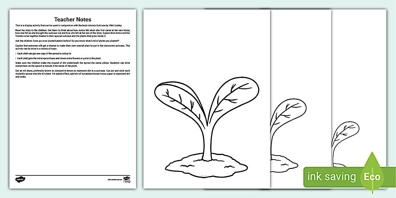 Activity to Support the Teaching of Amira's Suitcase
