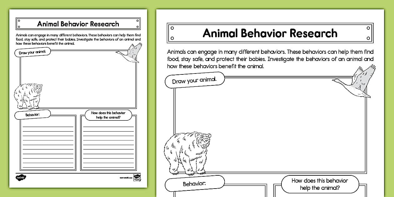 First Grade Animal Behavior Research Worksheet - Twinkl